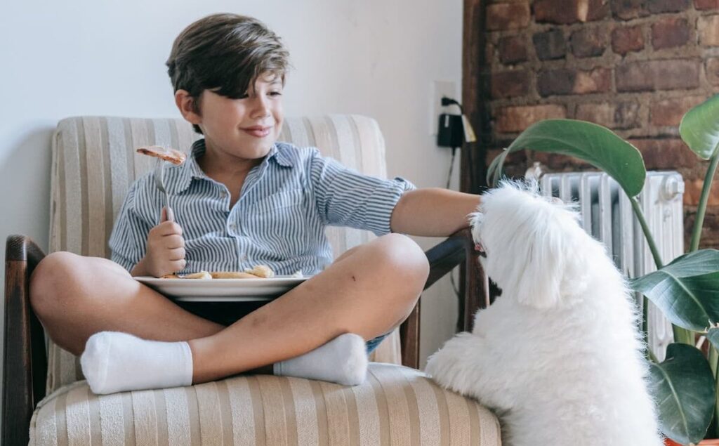 Why Do Dogs Eat Anything? - Weary Panda